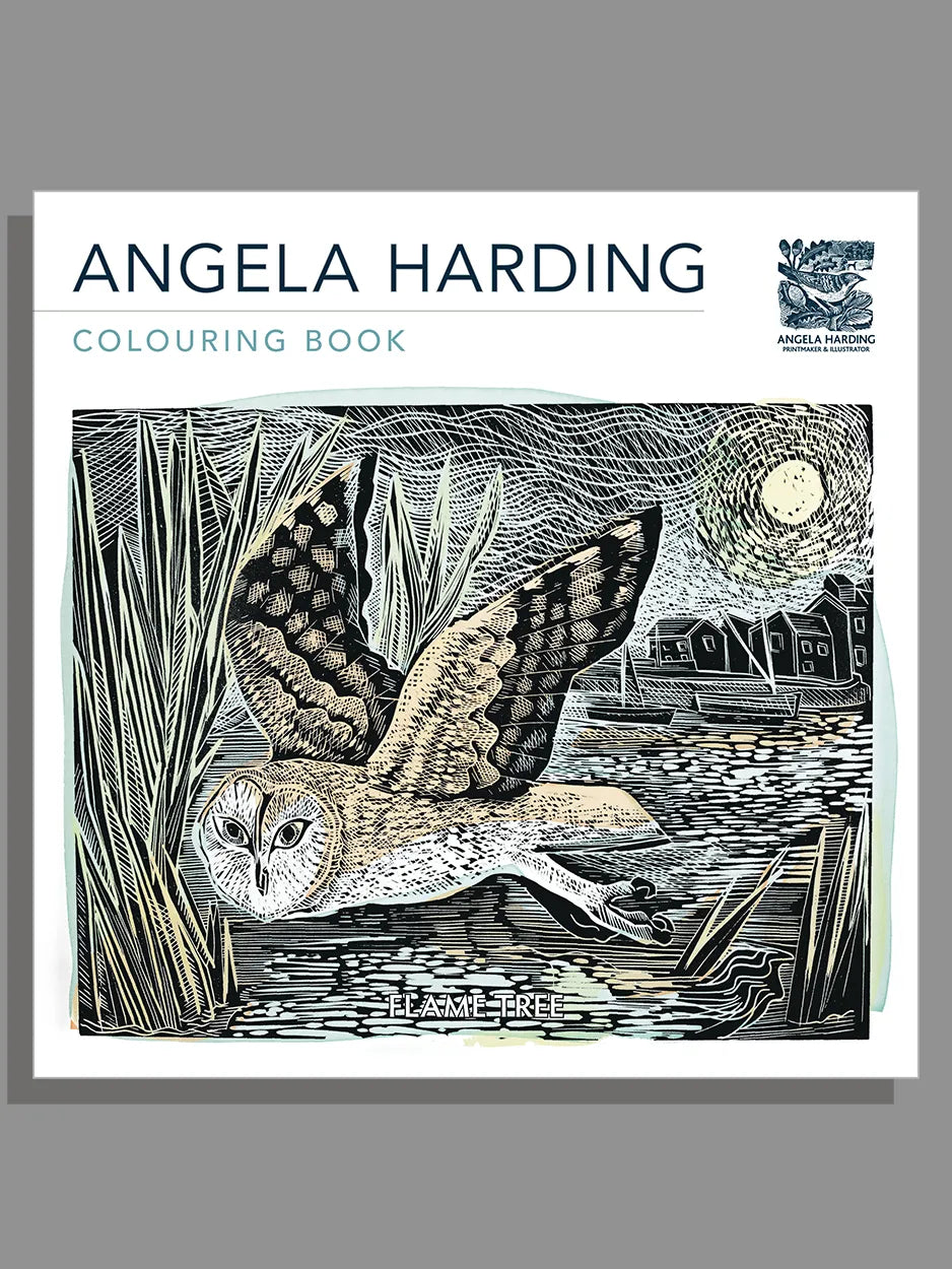 Angela Harding Colouring Book — The Northern Line
