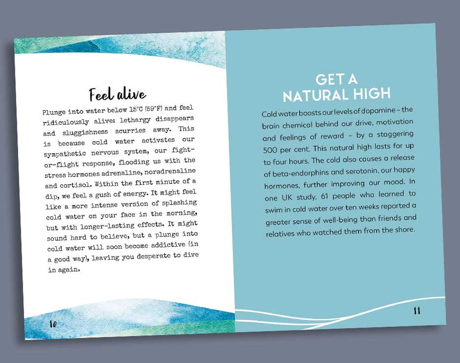 Little Books for Wild Swimmers — The Northern Line