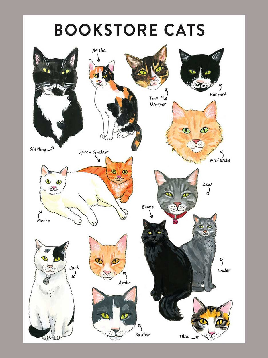 Bibliophile - Box Set of 50 Literary-themed Postcards — The Northern Line