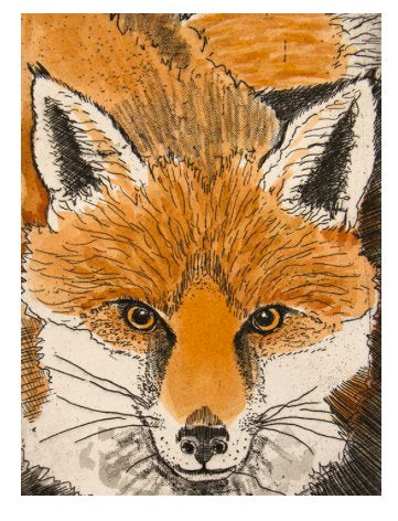 Fox - Blank Greeting Card — The Northern Line